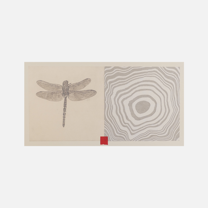 Suminagashi & Haiku Journals: Art Meets Poetry with Marcia Weese - The ...